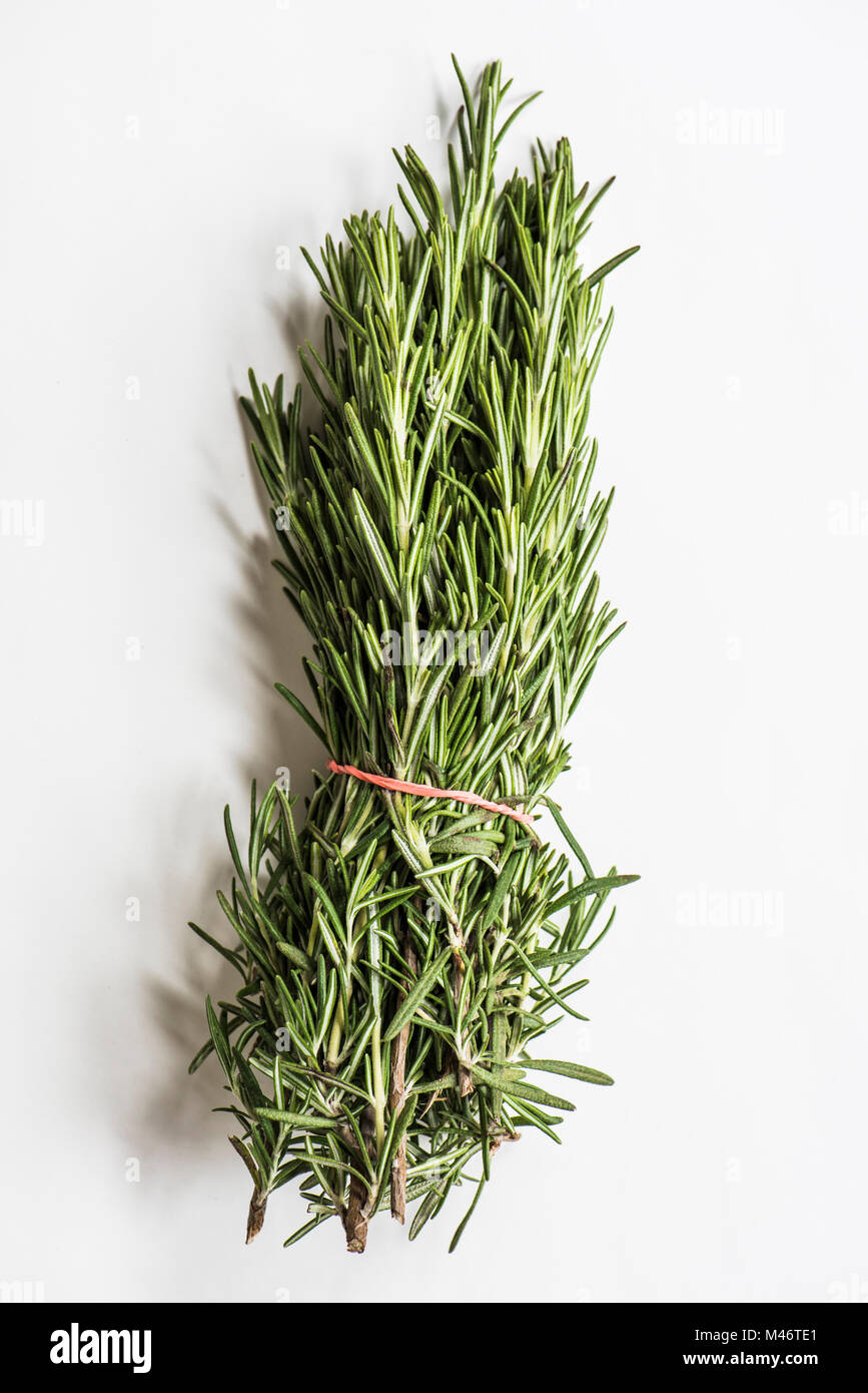 Bundle of Local organic Rosemary Stock Photo - Alamy