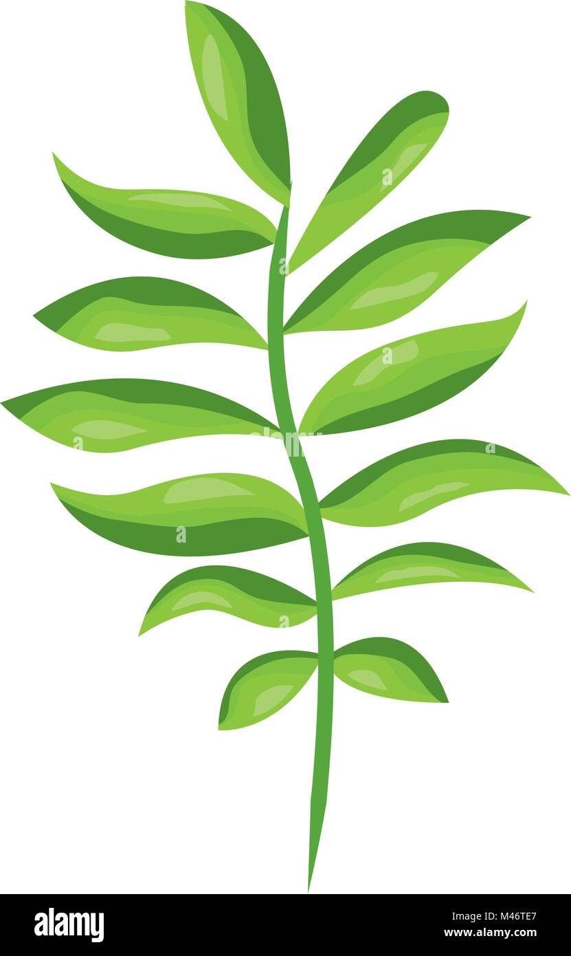 tree branch with green leaves plant natural vector illustration Stock ...
