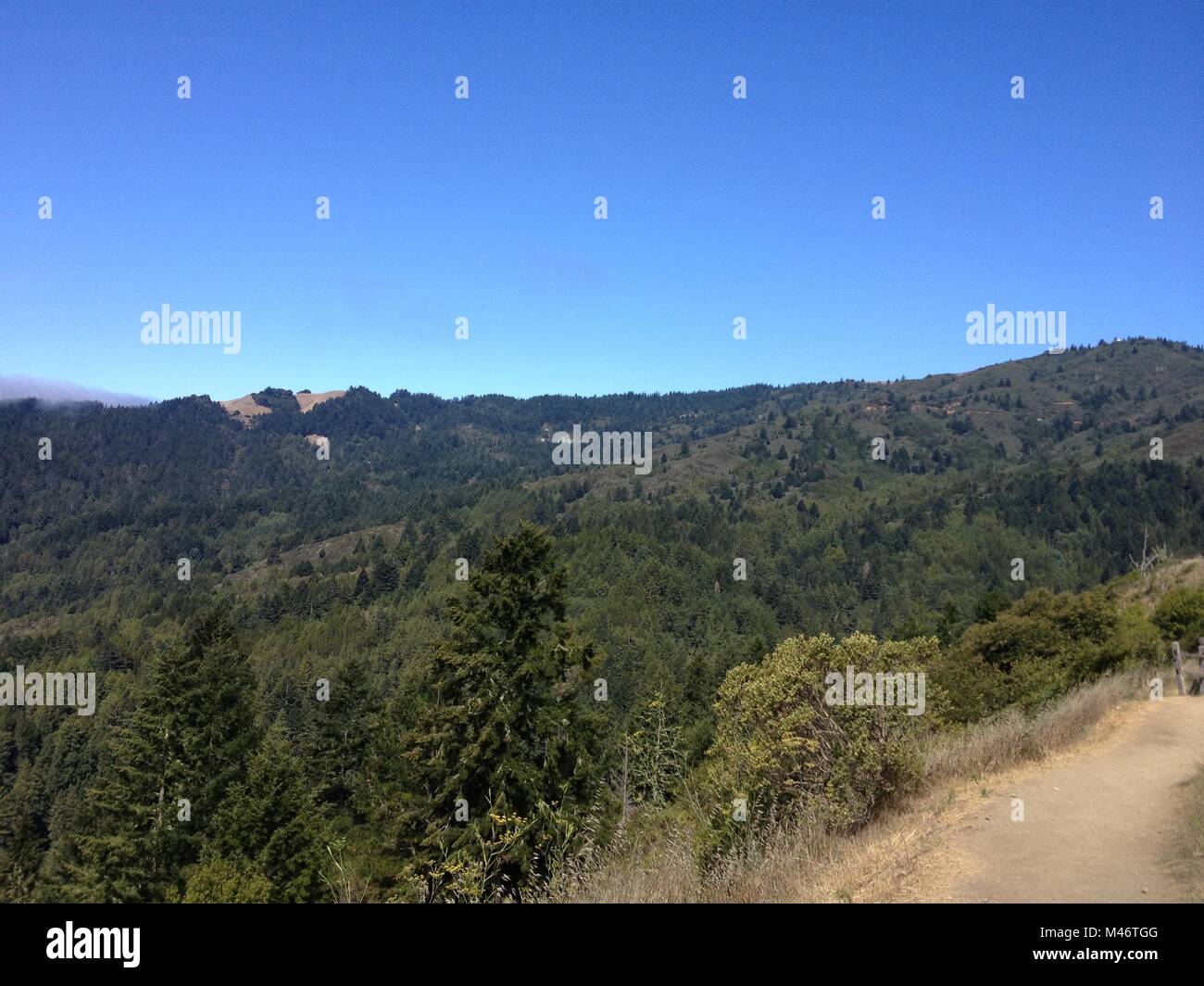 Green trees in mountain setting Stock Photo - Alamy