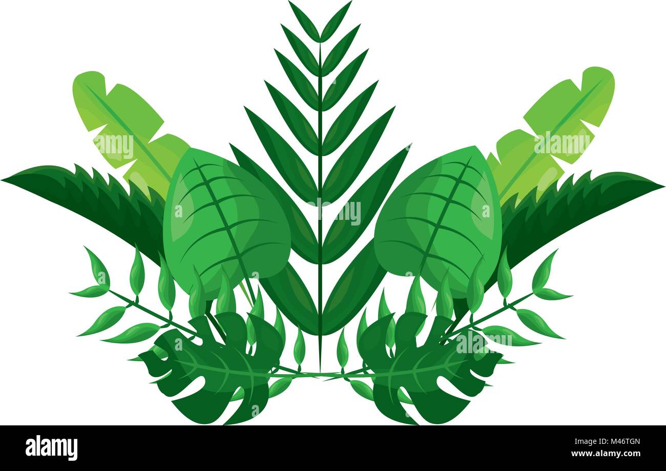 flower natural decoration arrangement leaves vector illustration Stock ...