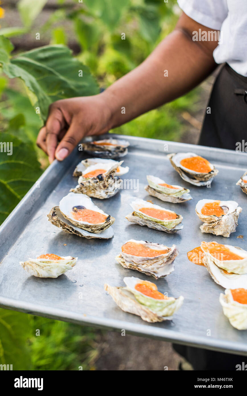 Repurposed Oyster shells at a food event Stock Photo - Alamy