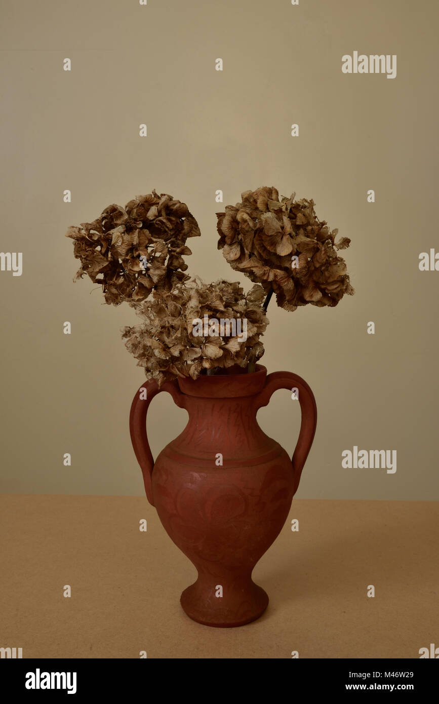 Hydrangea vase floral hi-res stock photography and images - Alamy