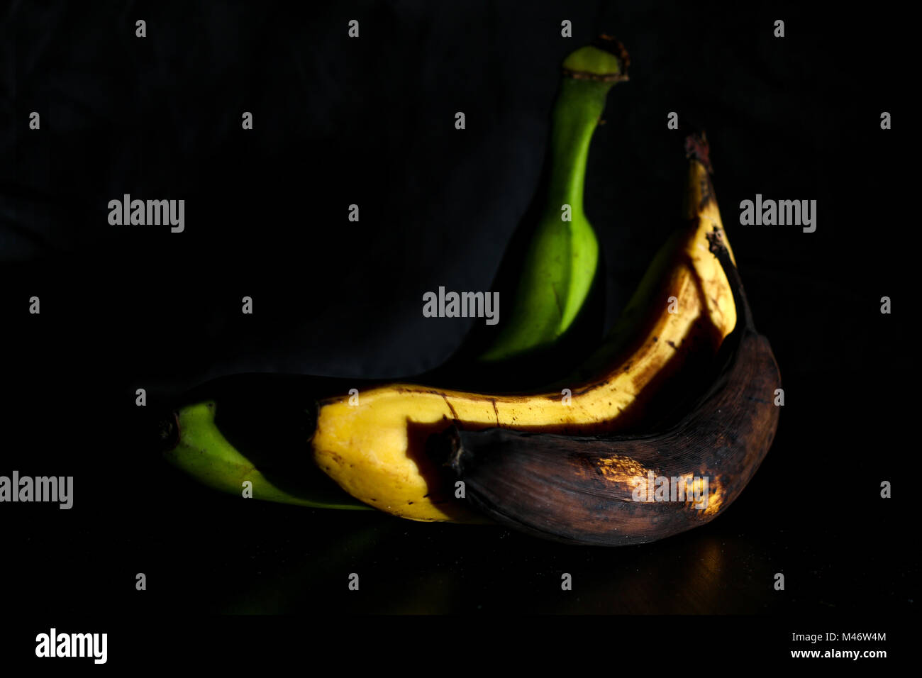 A picture of three ordinary bananas, without modifications..as you know ...
