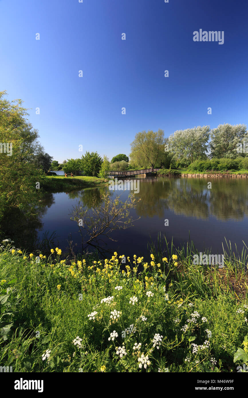 Peterborough ferry meadows country park hi-res stock photography and ...