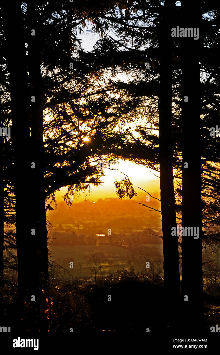 Beacon fell country park lancashire hi-res stock photography and images ...