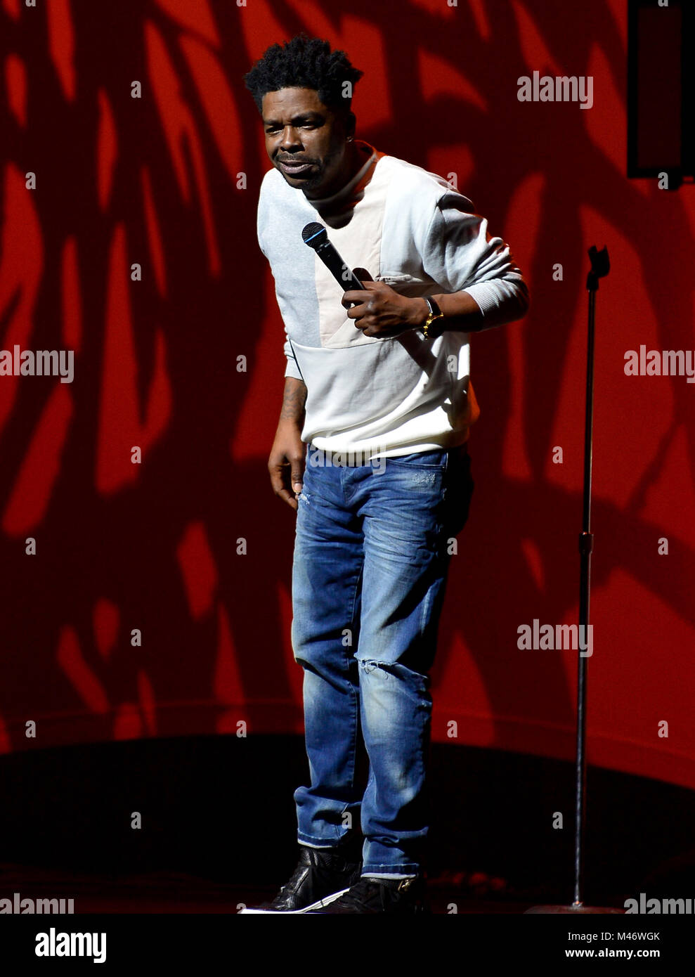 Miami Festival of Laughs at the James L. Knight Center Featuring ...