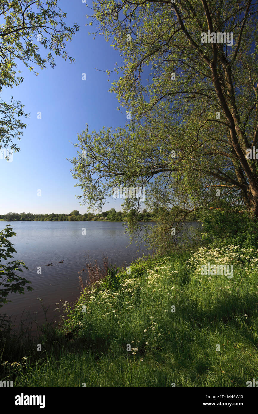 Peterborough ferry meadows country park hi-res stock photography and ...