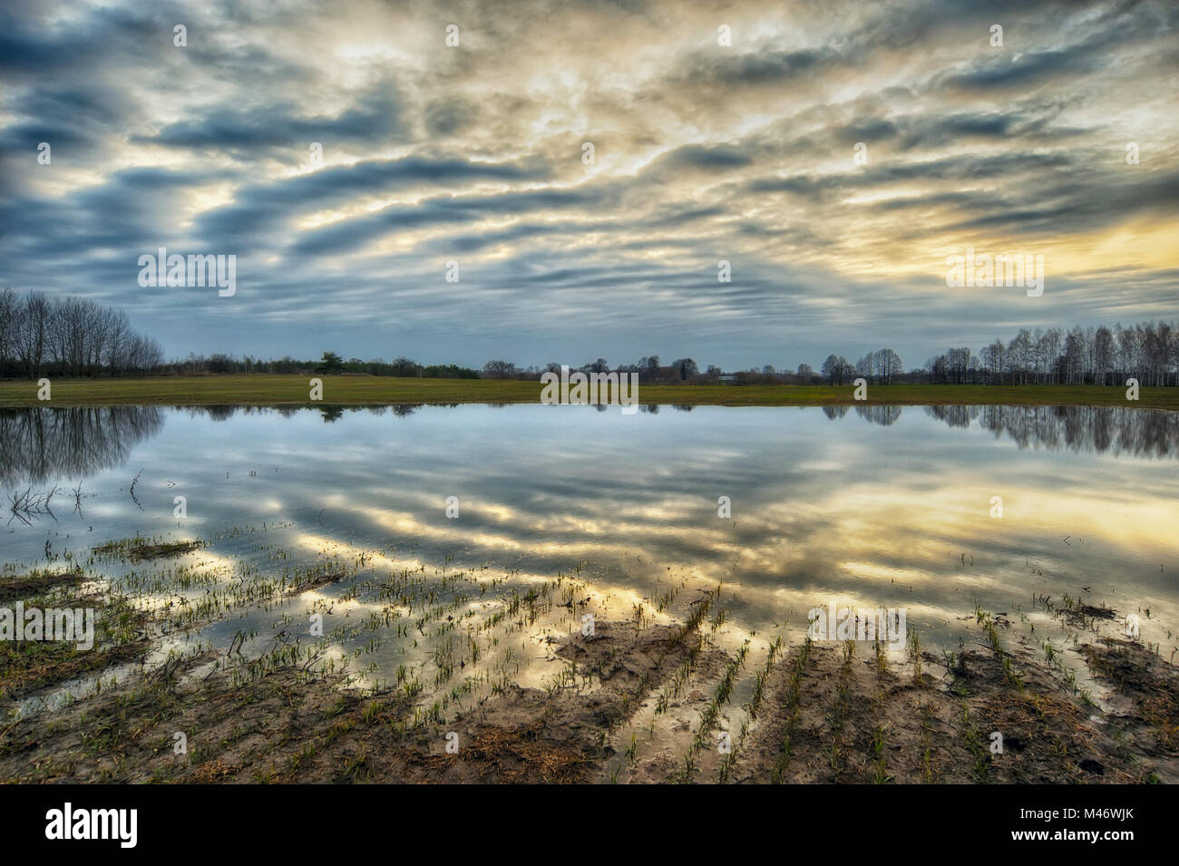 picturesque reflection of trees in a river Stock Photo - Alamy