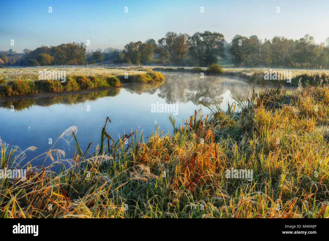 picturesque reflection of trees in a river Stock Photo - Alamy
