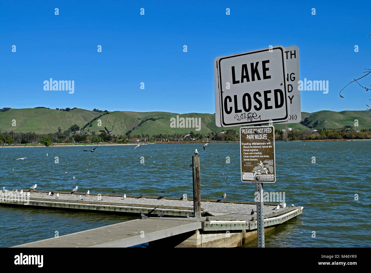 lake closed and do not feed wildlife signs at Lake Elizabeth, Central ...