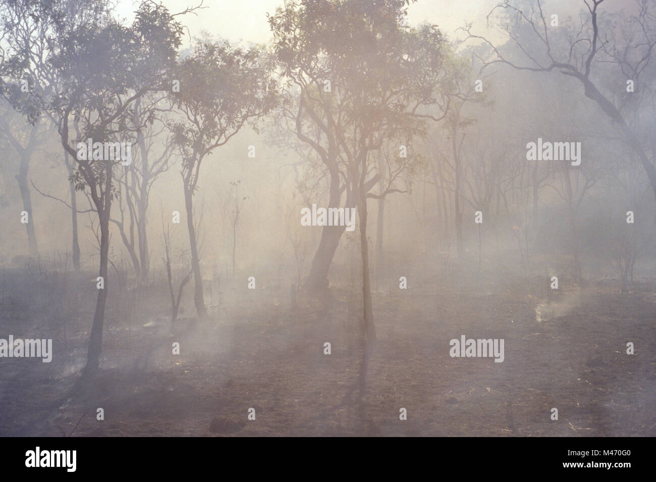 The aftermath of a large bush fire in the Kimberley Region of Western ...