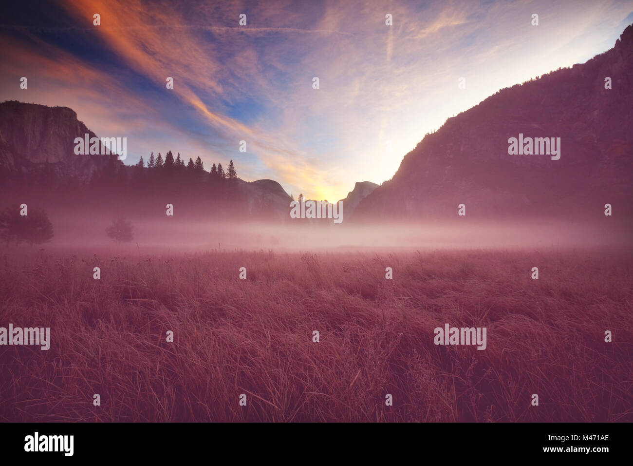 Beautiful Yosemite National Park landscapes, California Stock Photo - Alamy