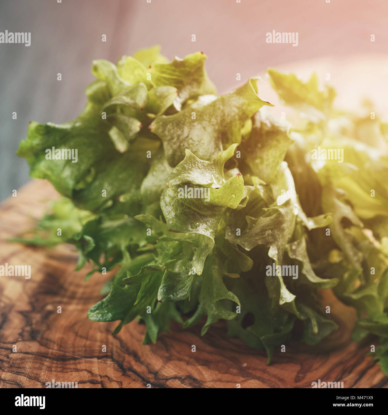 Frillis lettuce hi-res stock photography and images - Alamy