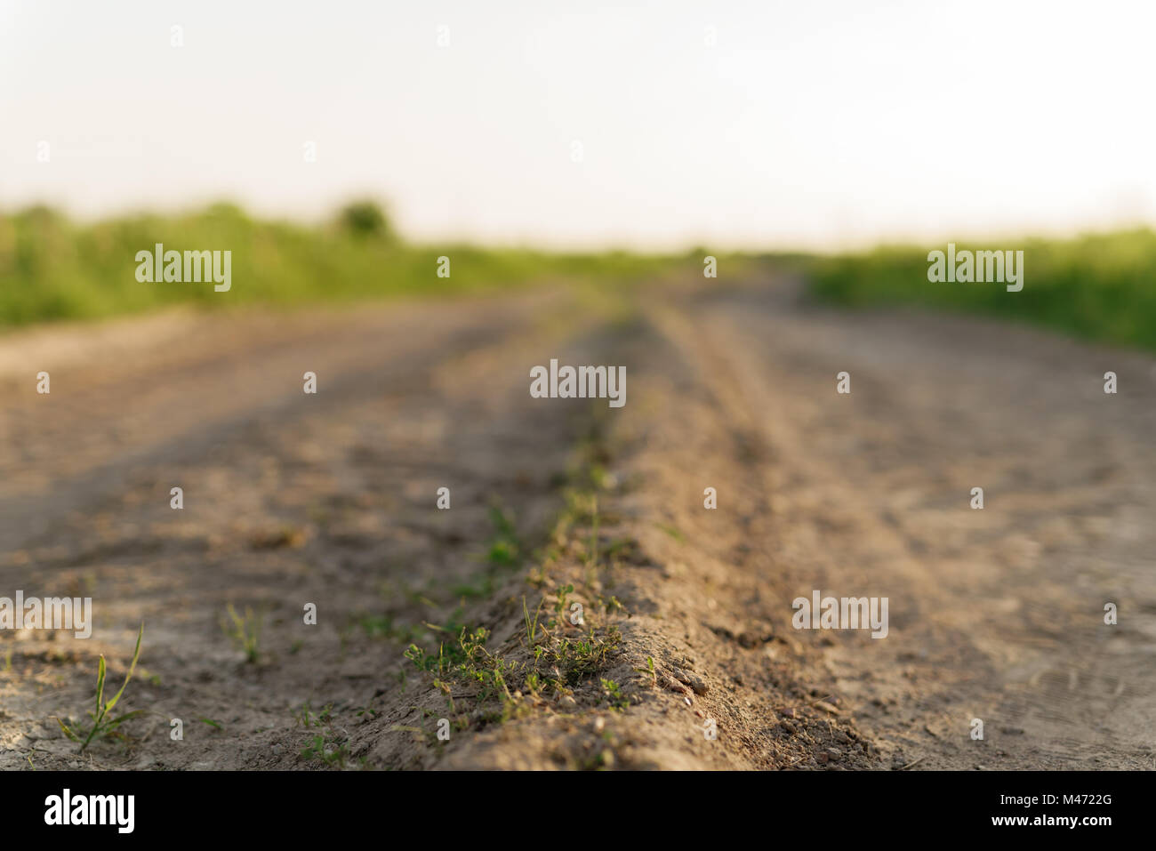Summer landscape green grass road hi-res stock photography and images ...