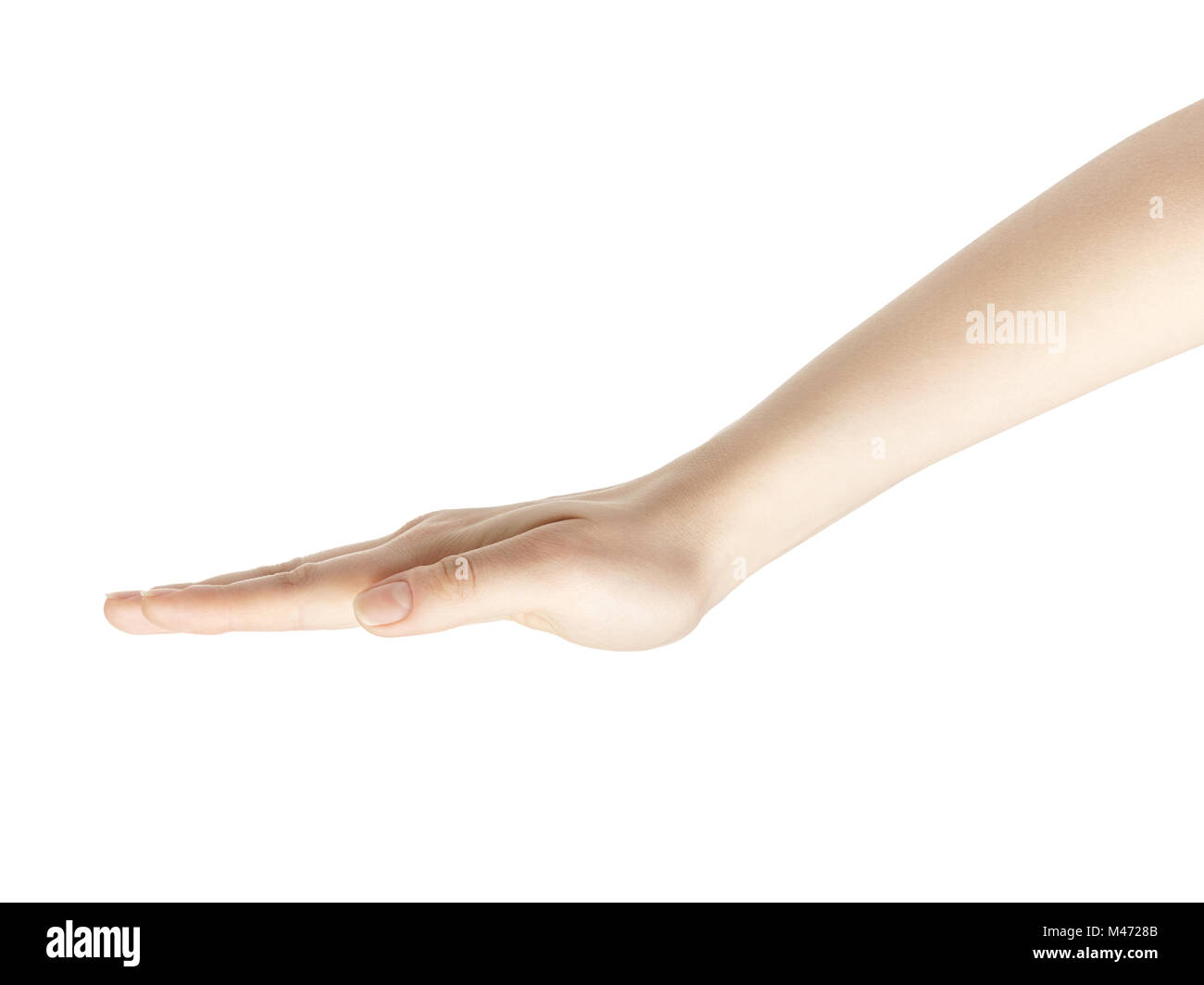 empty young female hand holding release isolated on white background ...