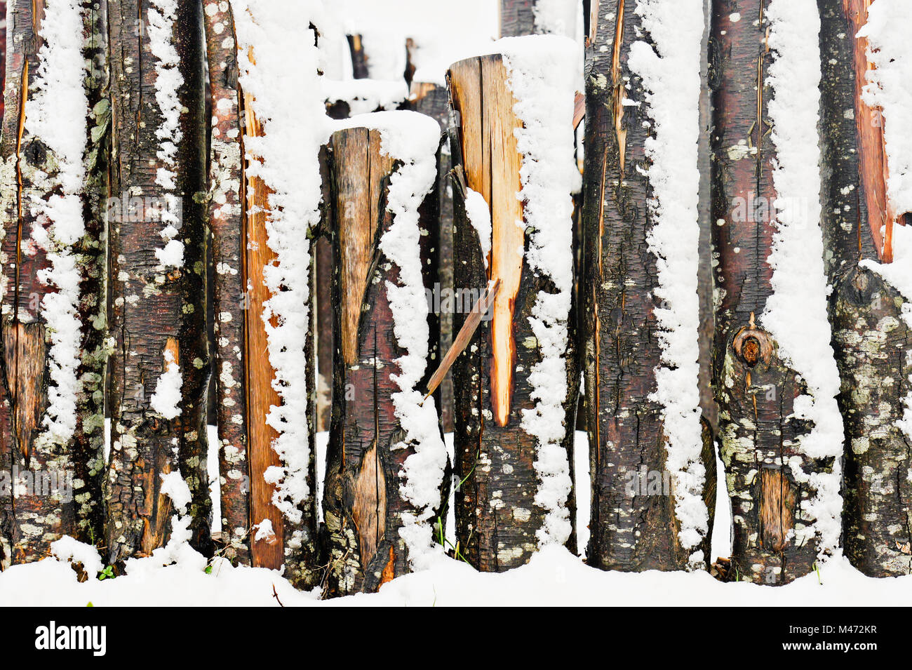 Fallen fence panel hi-res stock photography and images - Alamy