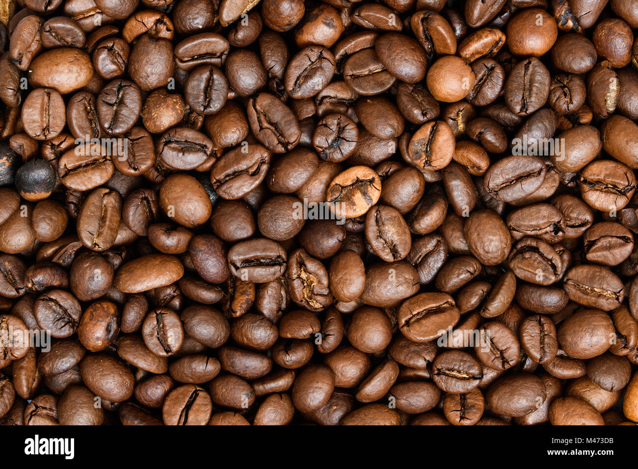 Roasted coffee beans, can be used as a background. Coffee beans texture ...