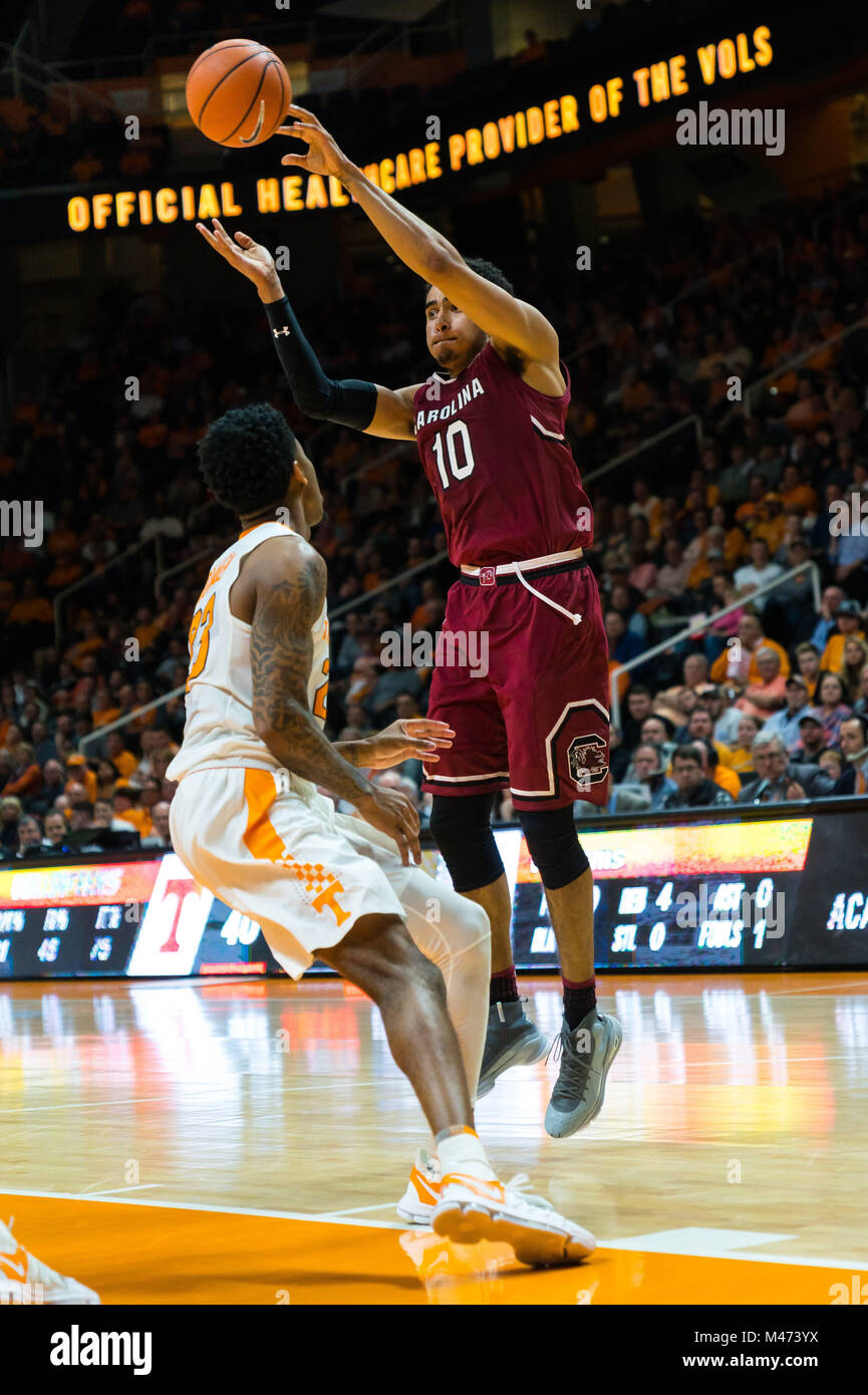 February 13, 2018: Justin Minaya #10 of the South Carolina Gamecocks ...