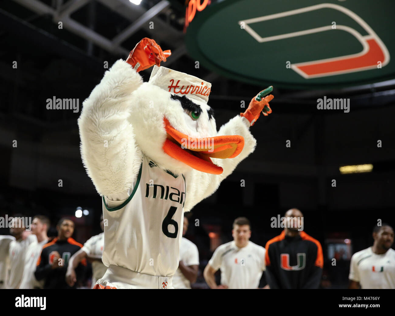 University of virginia mascot hi-res stock photography and images - Alamy