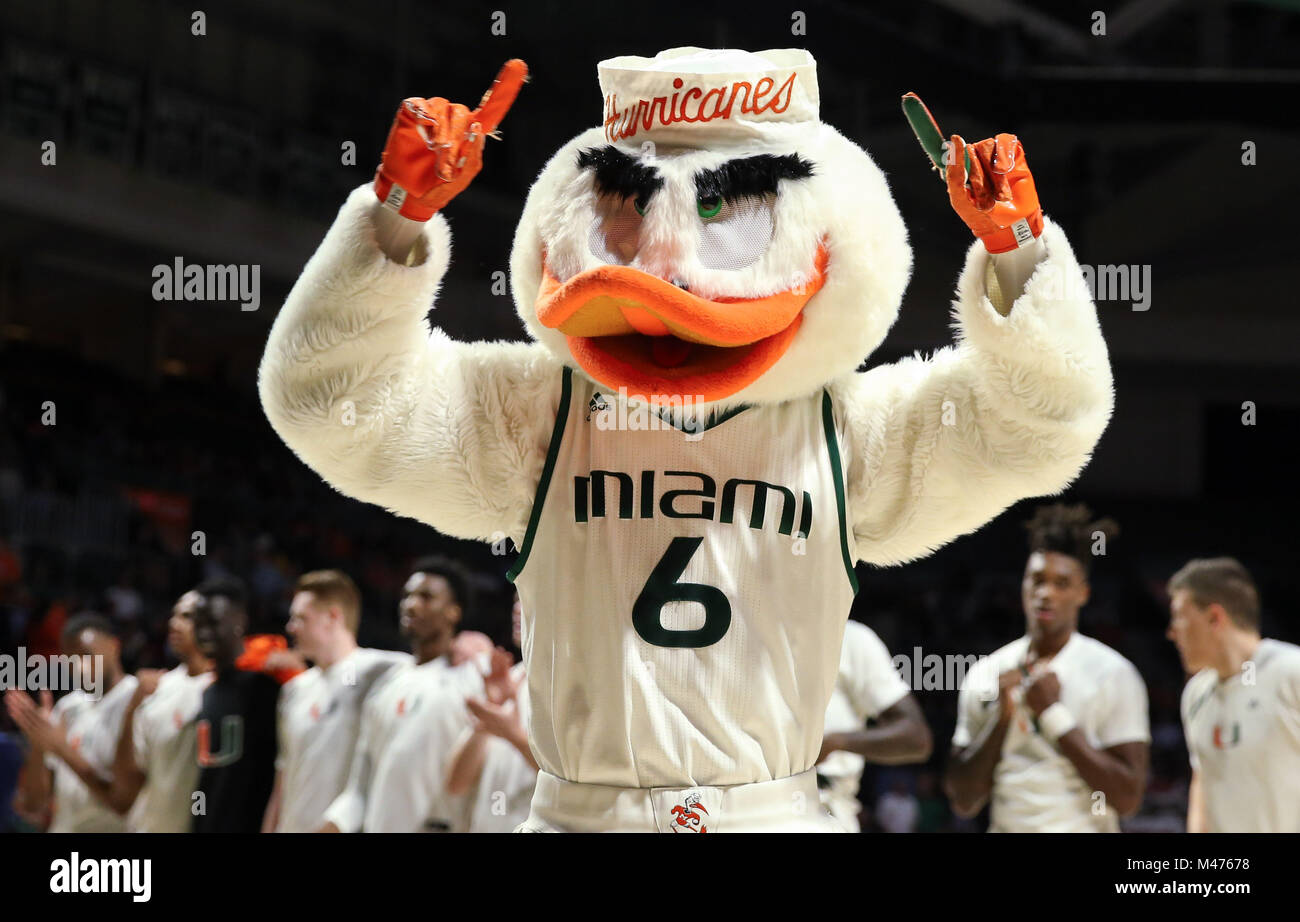 February 13, 2018: Sebastian the Ibis, the official mascot for the ...