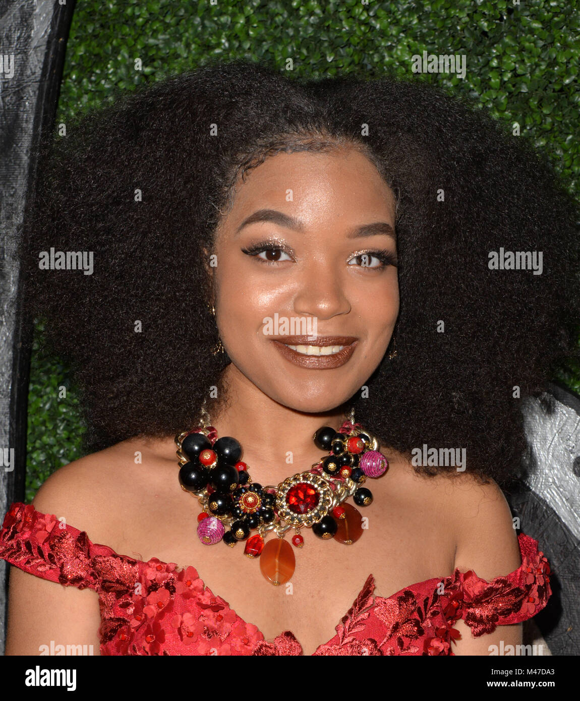 Los Angeles, Ca, USA. 14th Feb, 2018. Ashley Jackson at the 2018 Pan ...