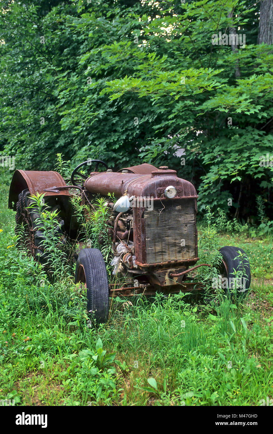 Overgrown old farm equipment hi-res stock photography and images - Alamy