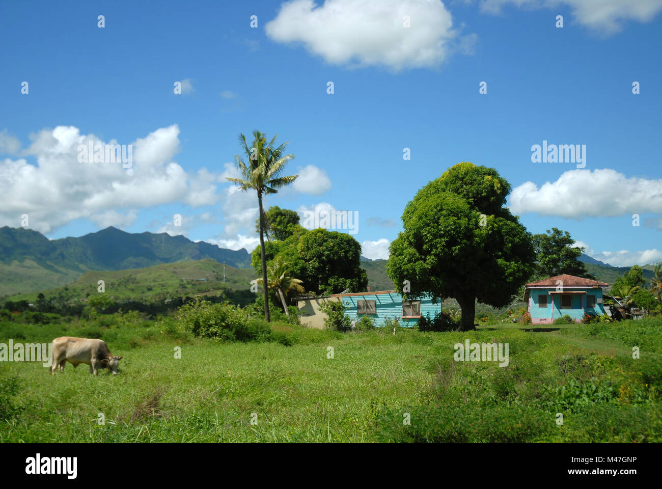 Farming in fiji hi-res stock photography and images - Alamy