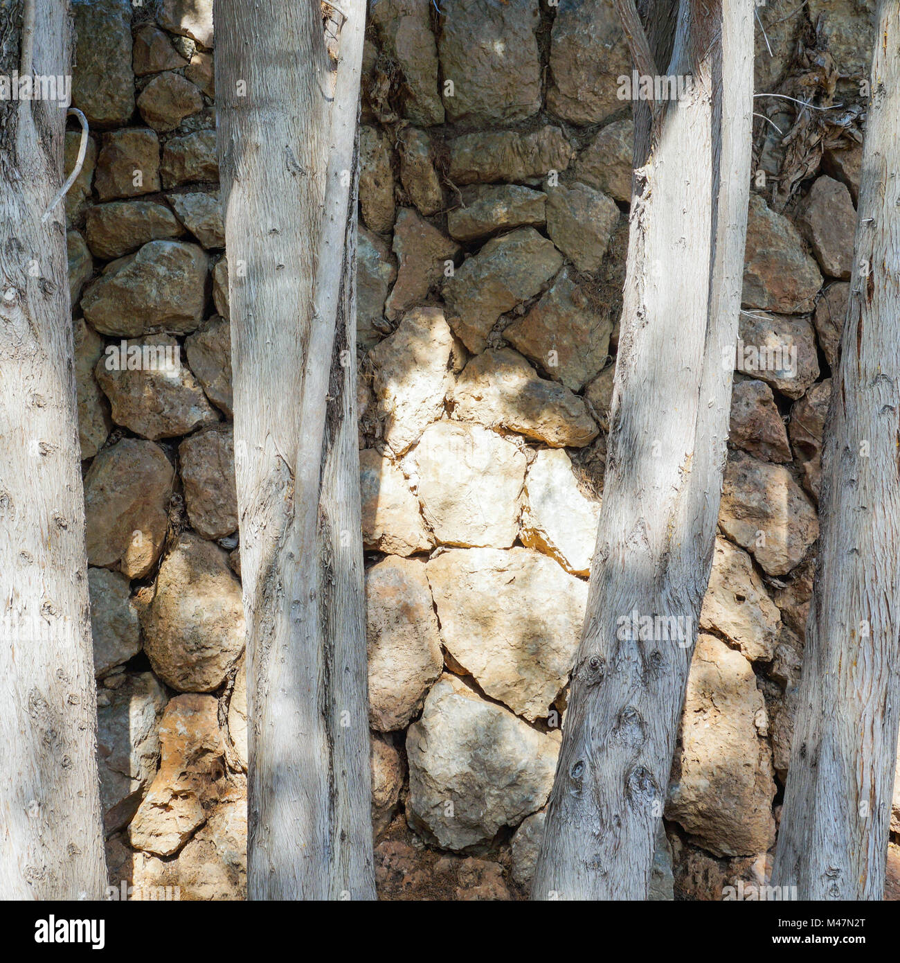 Nature brick wall with trees in front of Stock Photo - Alamy