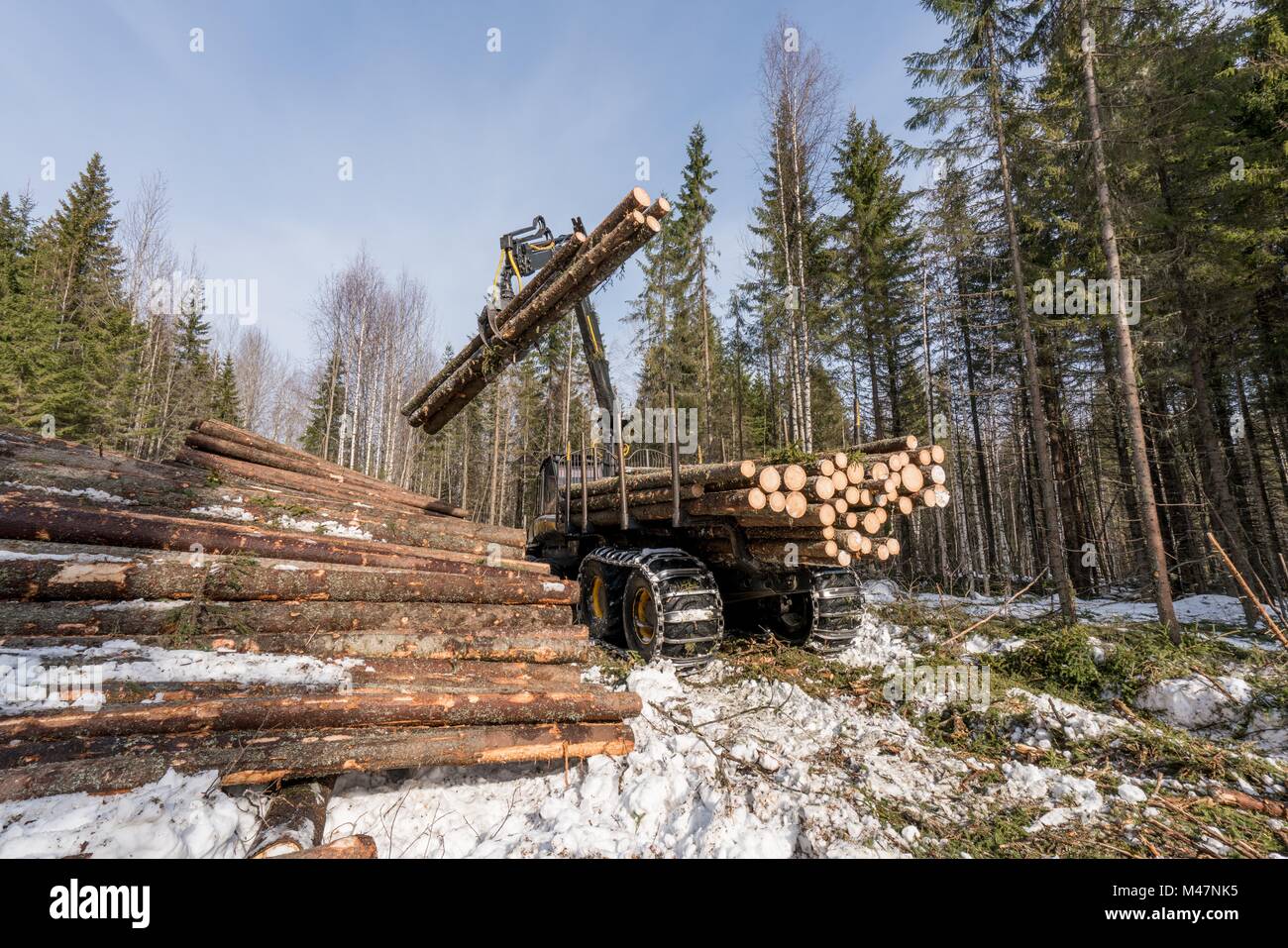 Logger with robotic arm lifts logs in winter woods Stock Photo - Alamy