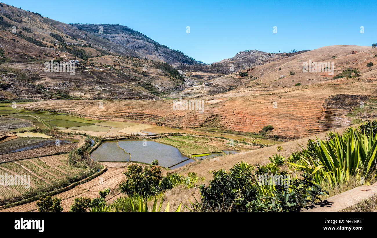 Rice terraces madagascar hi-res stock photography and images - Alamy