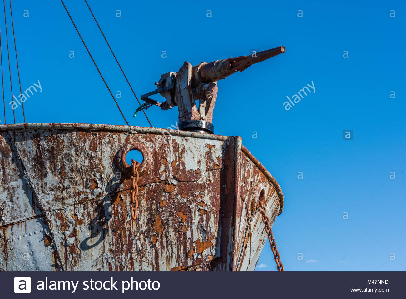 Harpoon Gun Stock Photos & Harpoon Gun Stock Images - Alamy