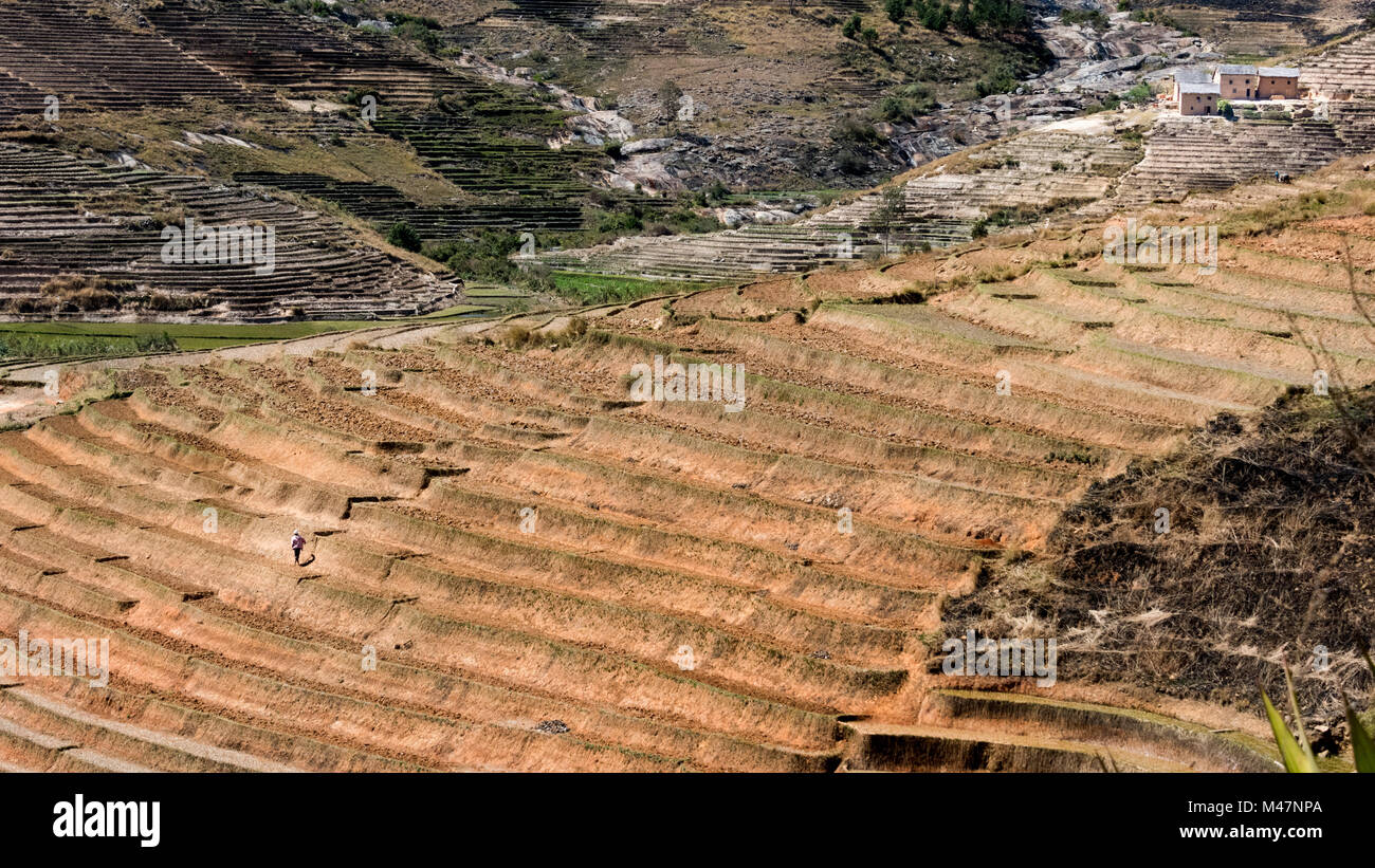 Rice terraces madagascar hi-res stock photography and images - Alamy