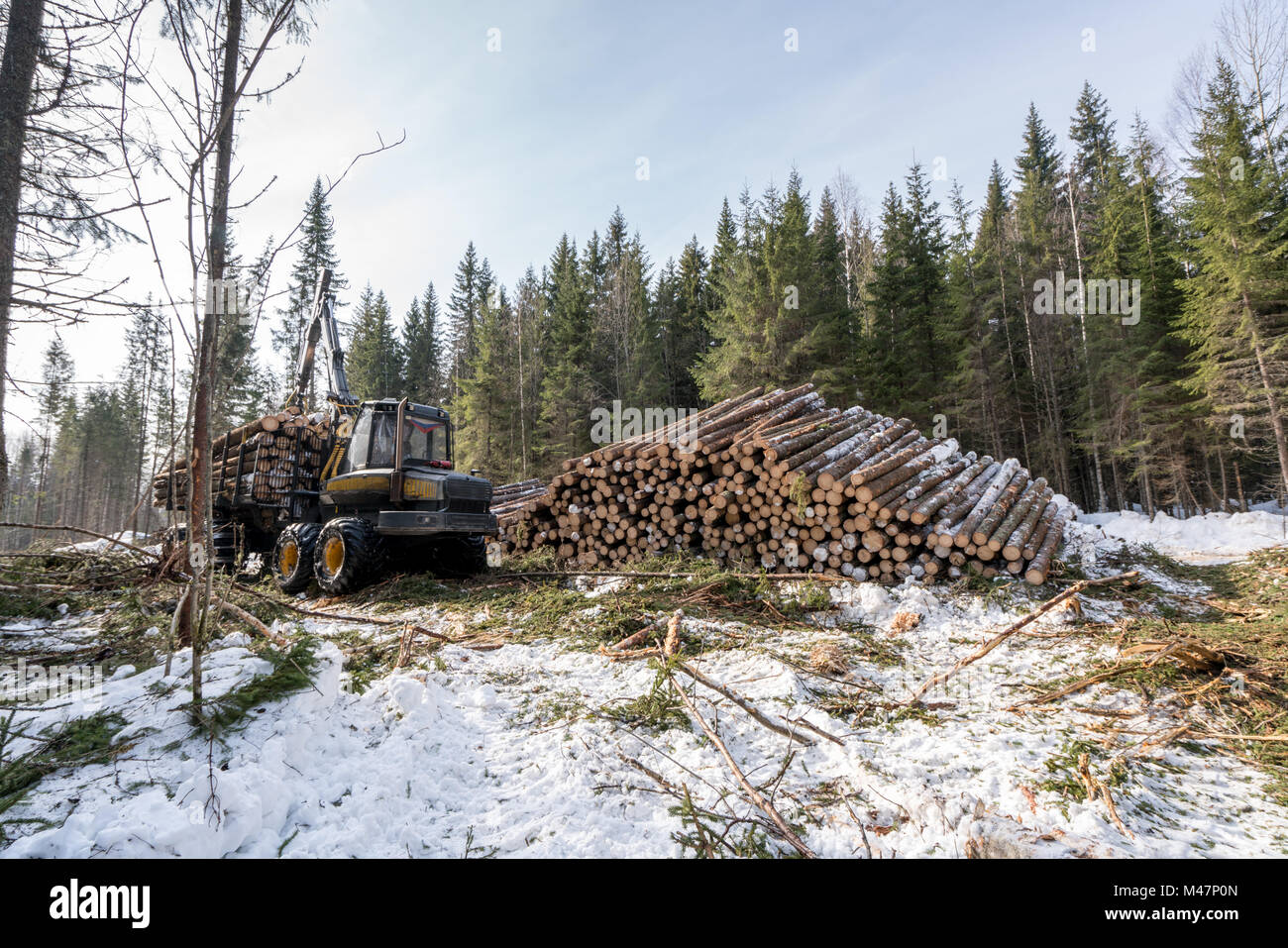 Truck in forest hi-res stock photography and images - Alamy