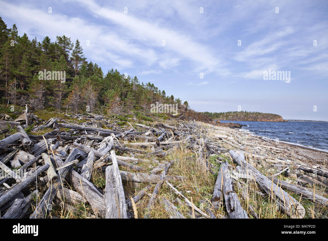 Coast of White sea, northern Russia Stock Photo - Alamy
