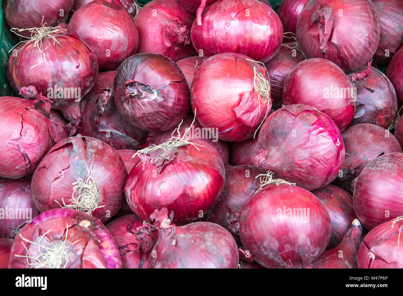 Background of red spanish onions seen at a market Stock Photo - Alamy