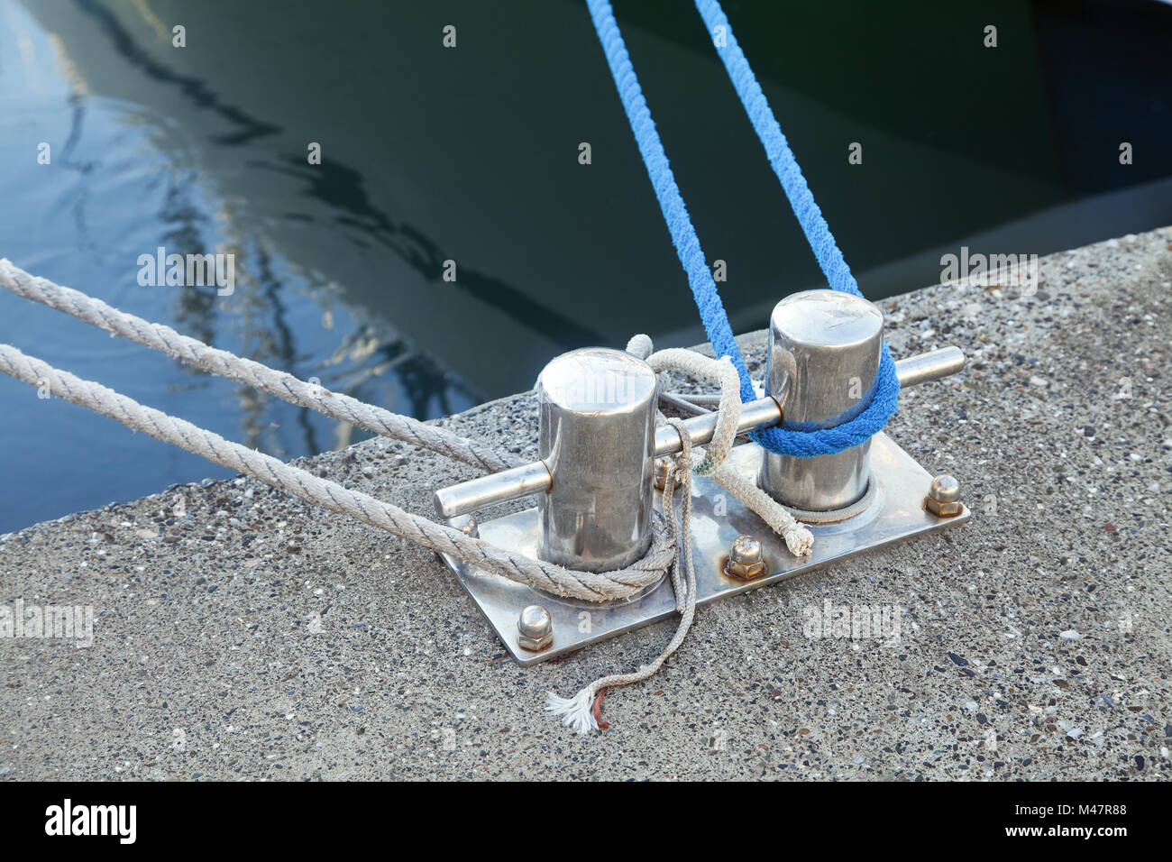Above view of dolphin hi-res stock photography and images - Alamy