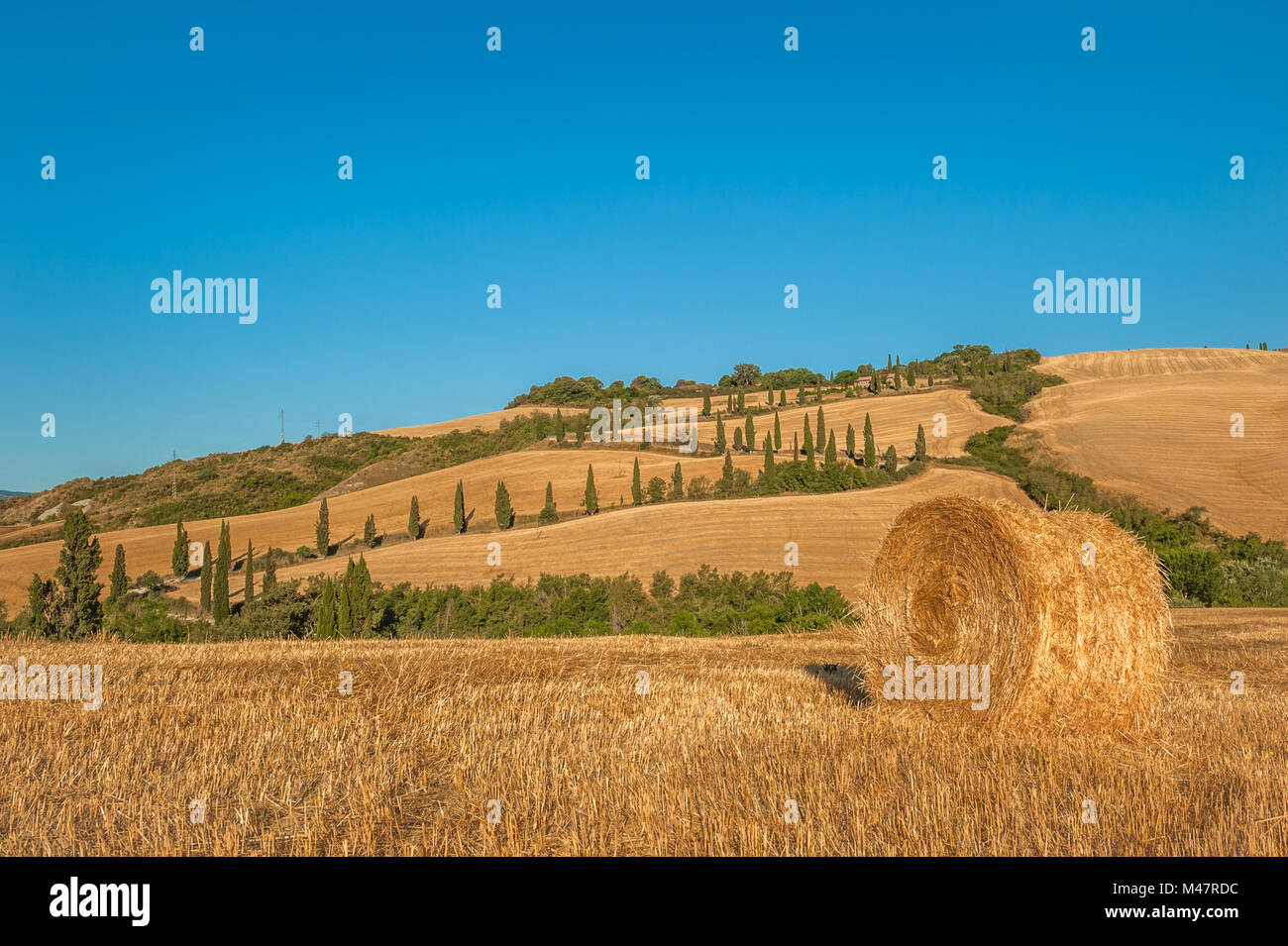 Tuscany landscape with hay bales in the field, Italy Stock Photo - Alamy
