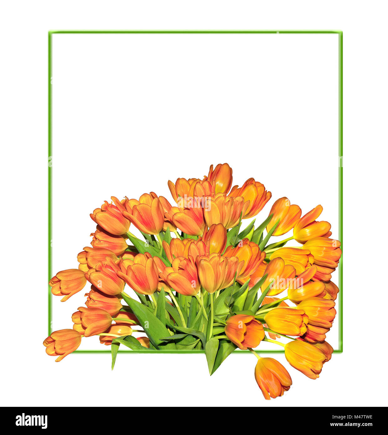 Orange tulips bouquet in the green spring frame Stock Photo - Alamy