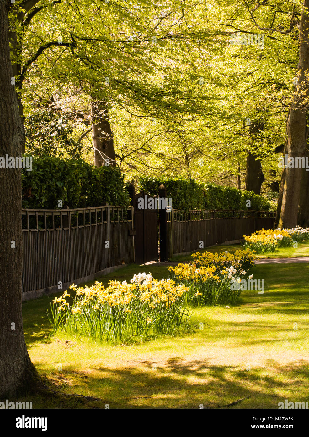 Ashridge estate in hertfordshire hi-res stock photography and images ...