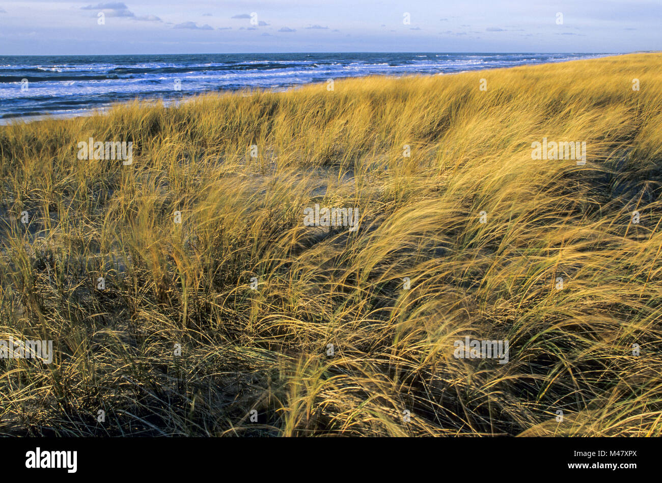 Dunescape High Resolution Stock Photography and Images - Alamy