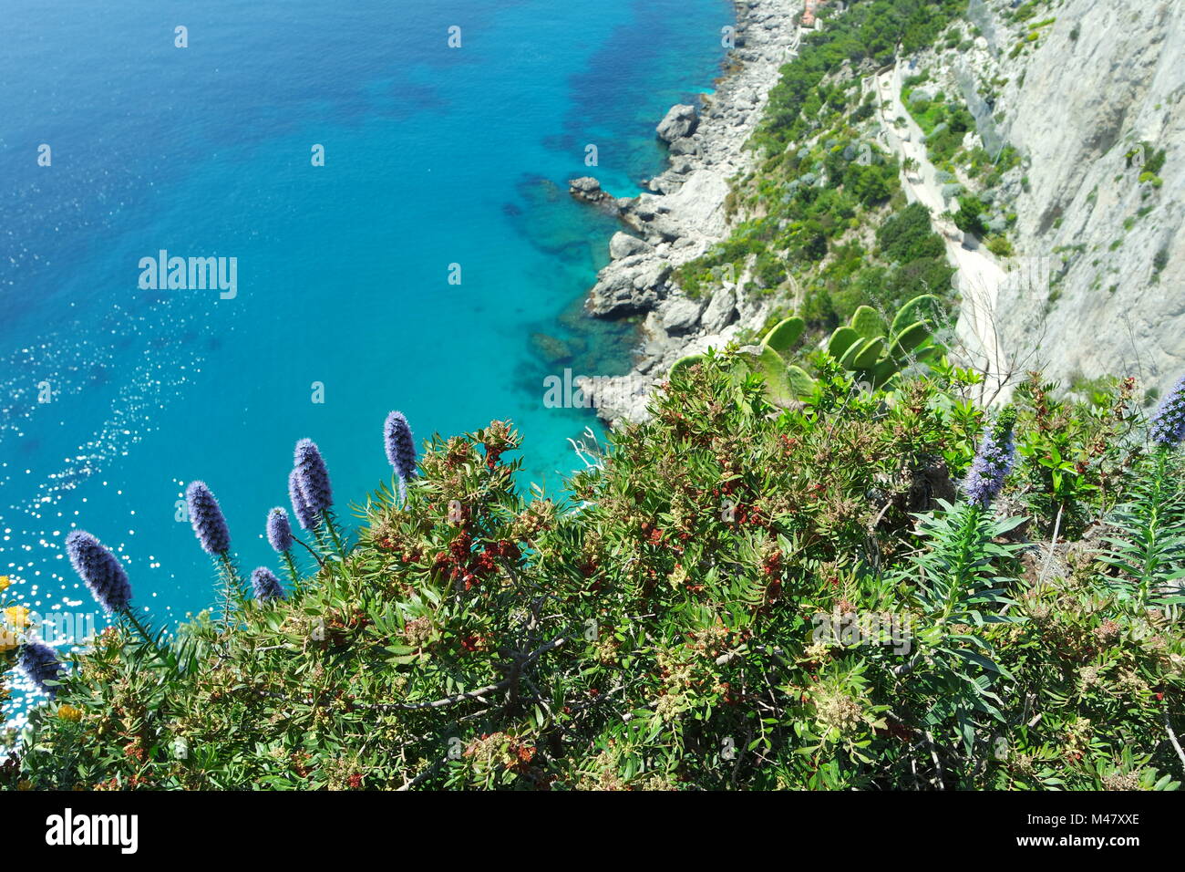 Spring in Capri Stock Photo - Alamy