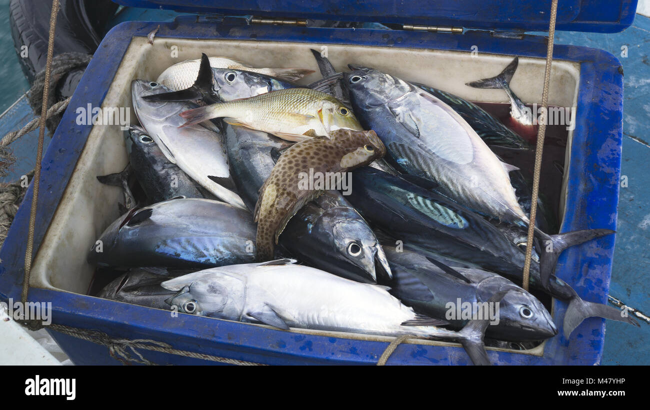 Full Container Stock Photos & Full Container Stock Images - Alamy