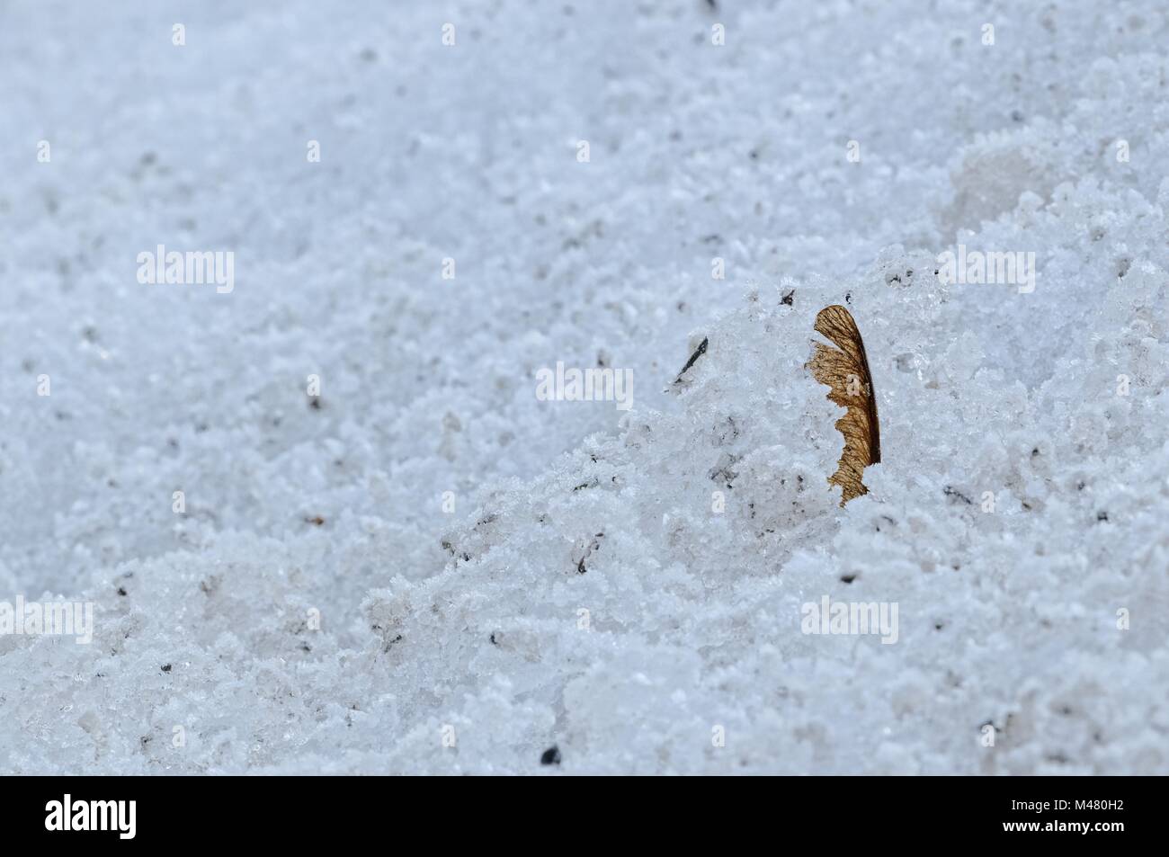 Spring snowpack hi-res stock photography and images - Alamy