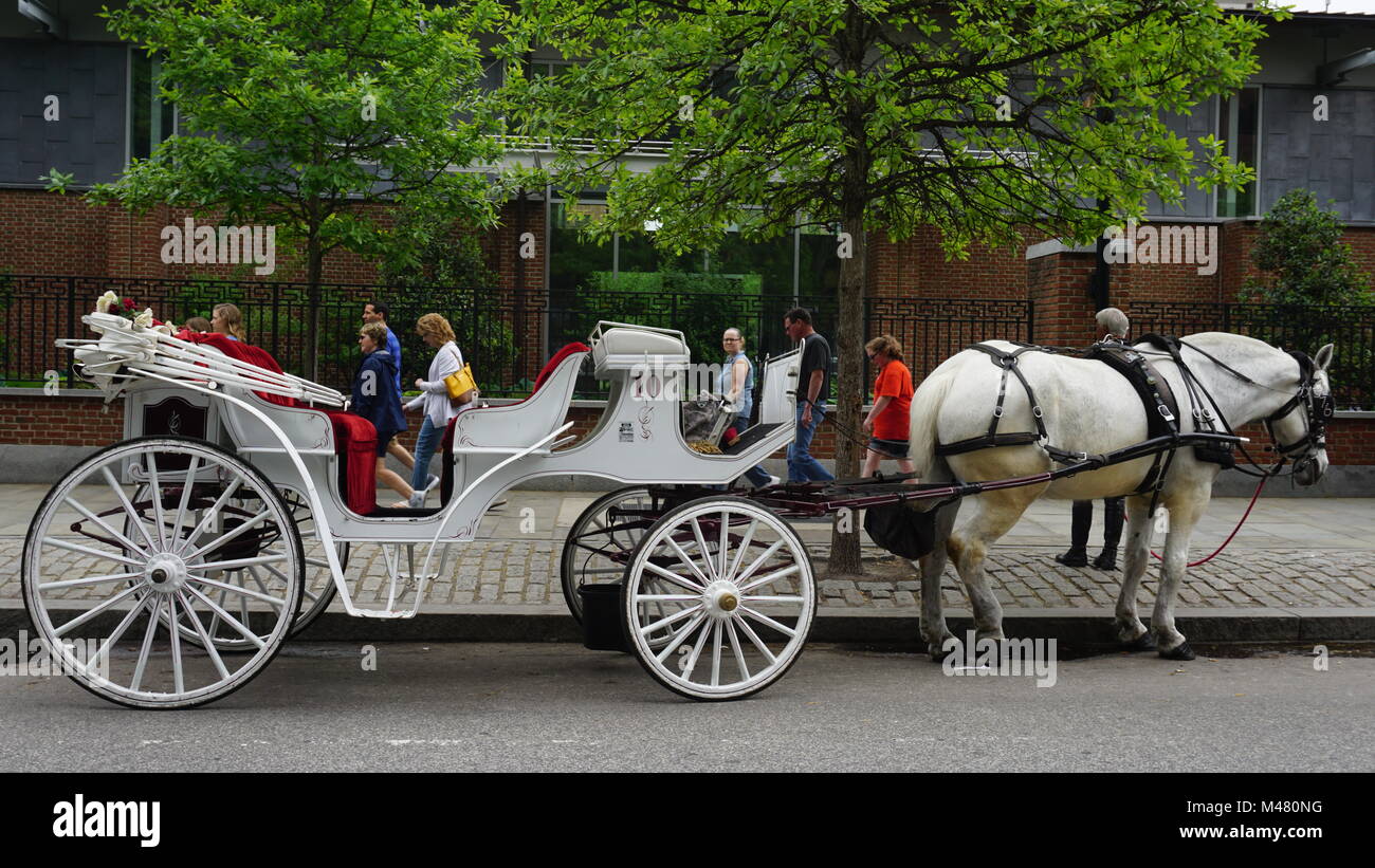 Horse and carriage rides in Philadelphia, USA Stock Photo - Alamy