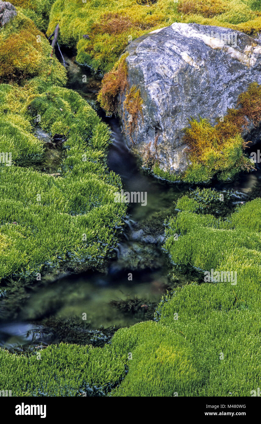 Streamside hi-res stock photography and images - Alamy