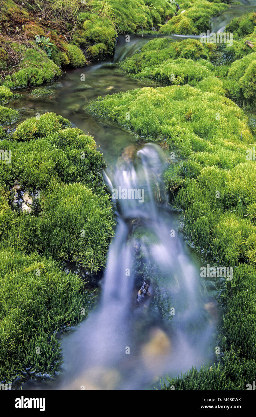 Streamside hi-res stock photography and images - Alamy
