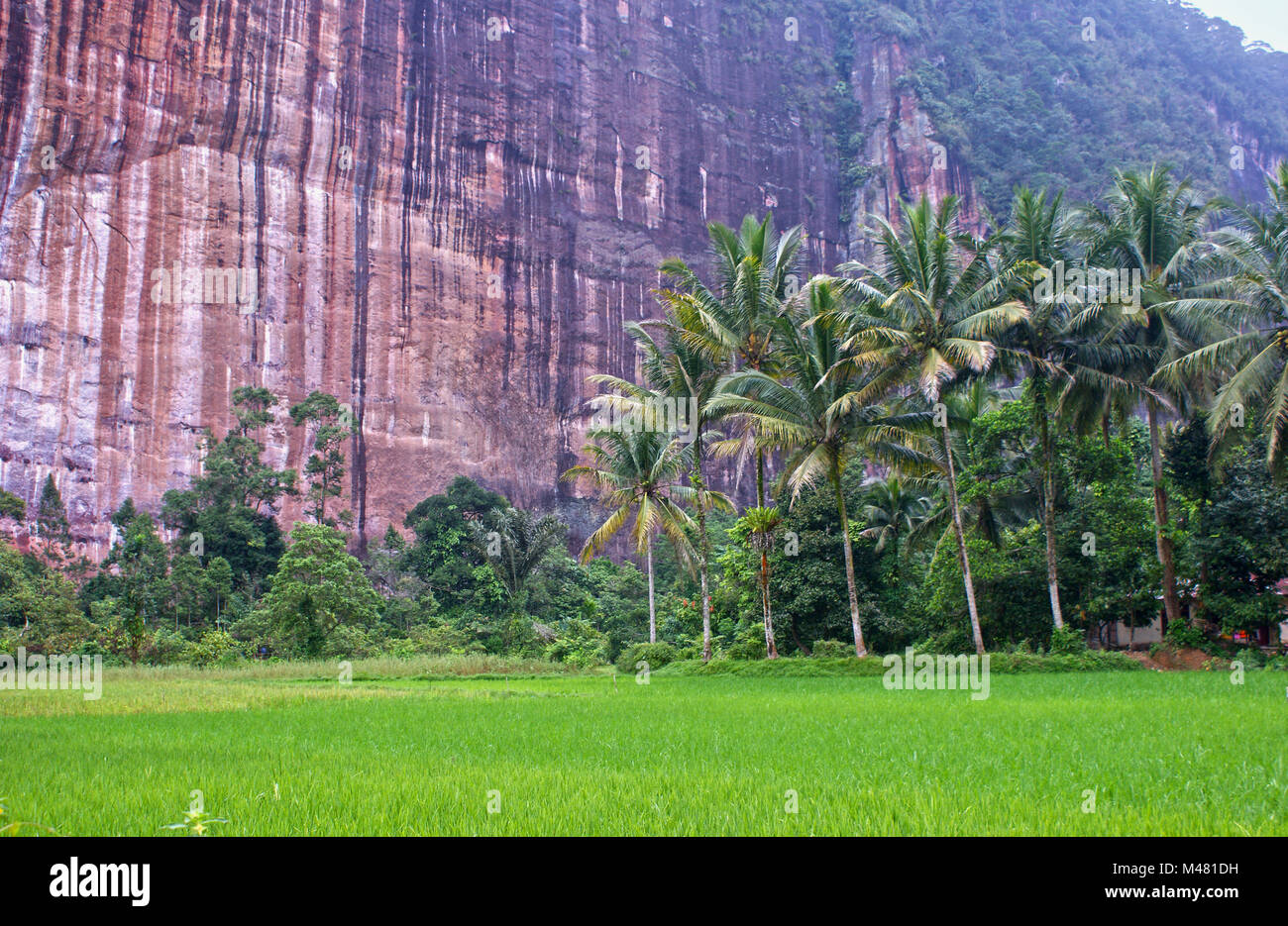 Lembah Harau, Padang, West Sumatera, Indonesia Stock Photo - Alamy