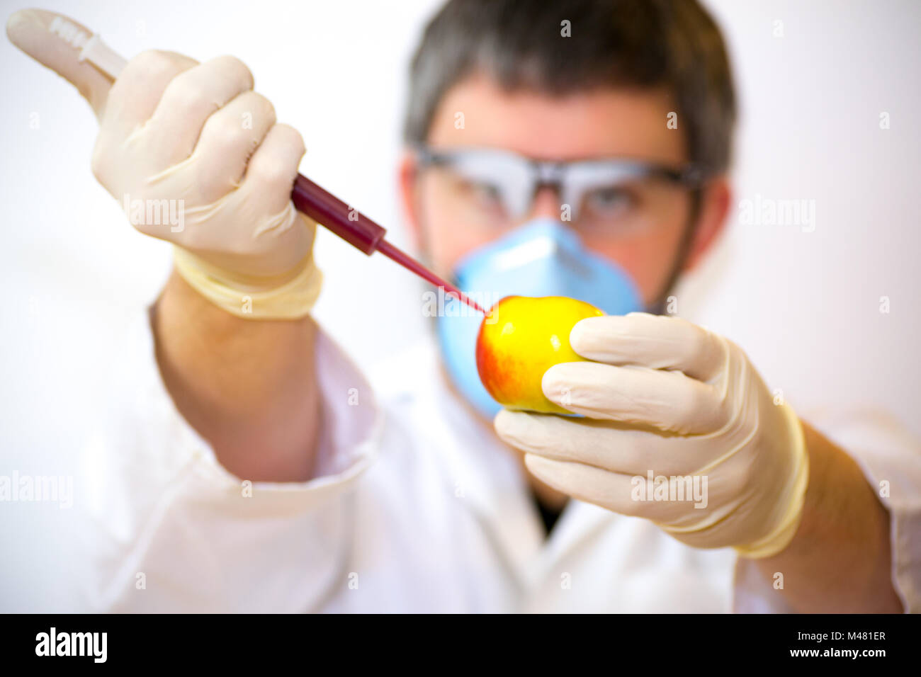 Gmo experiment hi-res stock photography and images - Alamy