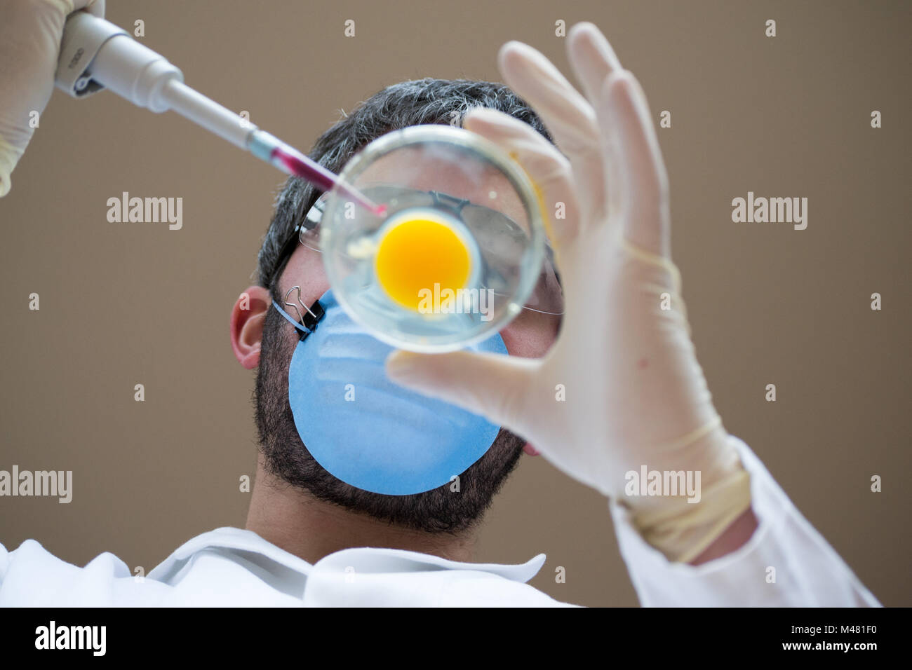 Genetic engineering experiment scientist hi-res stock photography and ...