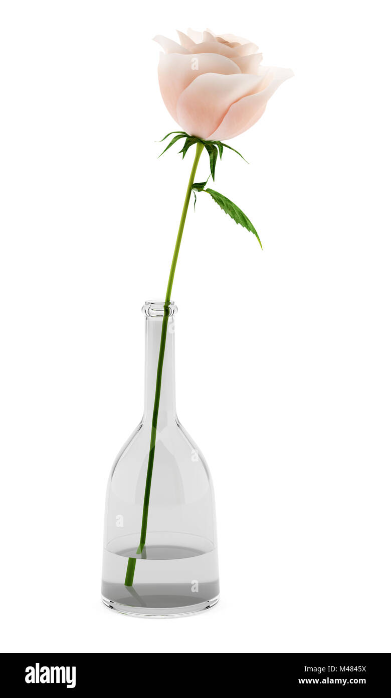 pink rose in glass vase isolated on white background Stock Photo - Alamy
